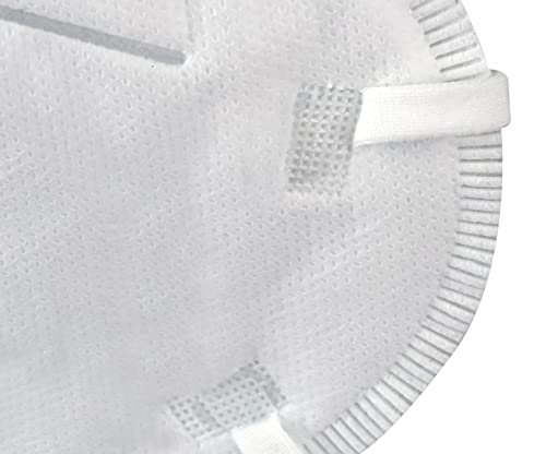 Honeywell Safety Products Safety DF300 H910P N95 Flatfold Disposable Respirator - Box of 50 (DF300H910N95)