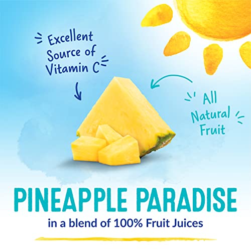 Dole Pineapple Chunks in 100% Fruit Juice, 23.5 Oz Jar