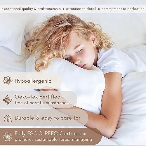 The Silk Lady Pillowcase 100% Organic Mulberry Silk - Matte Finish - (Travel 12" X 16")