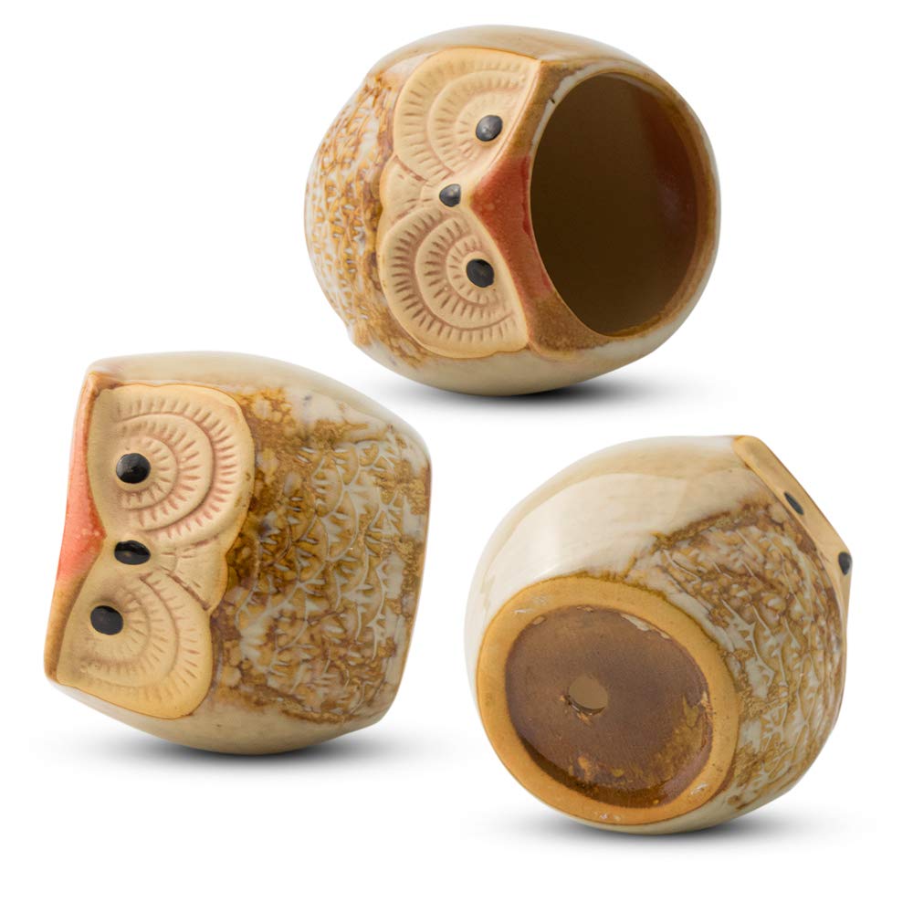FairyLavie Succulent Pots, 2.5" Owl Planter Owl Pot, Small Pots for Plants Cute Small Planter with Accessories, Great for Home Decor and Ideal Gift, Set of 6
