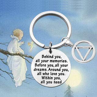 FEELMEM Sobriety Gift Keychain Addiction Recovery Gift AA Alcoholics Anonymous Warrior Recovery Gift New Beginnings Gift(silver