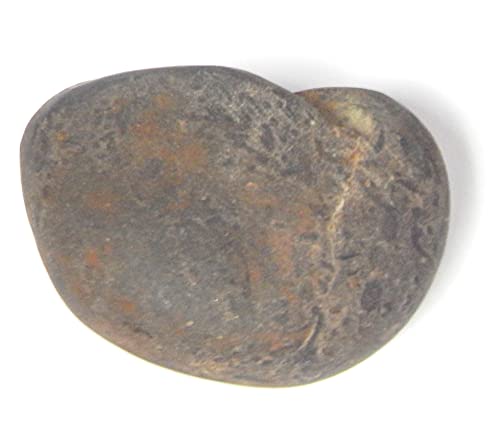 XUETZALCOATL Sacred Adwaitya Maha Vishnu Shaligram Nepal Kali Gandaki