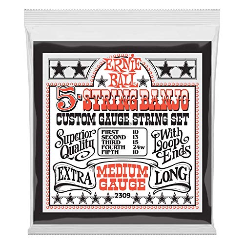 Ernie Ball 5-String Medium Stainless Steel Banjo Strings, 10-10 Gauge (P02309)