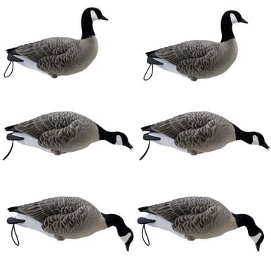 Final Approach Live Full Body Lesser Canada Geese - 6 Pack in Brown