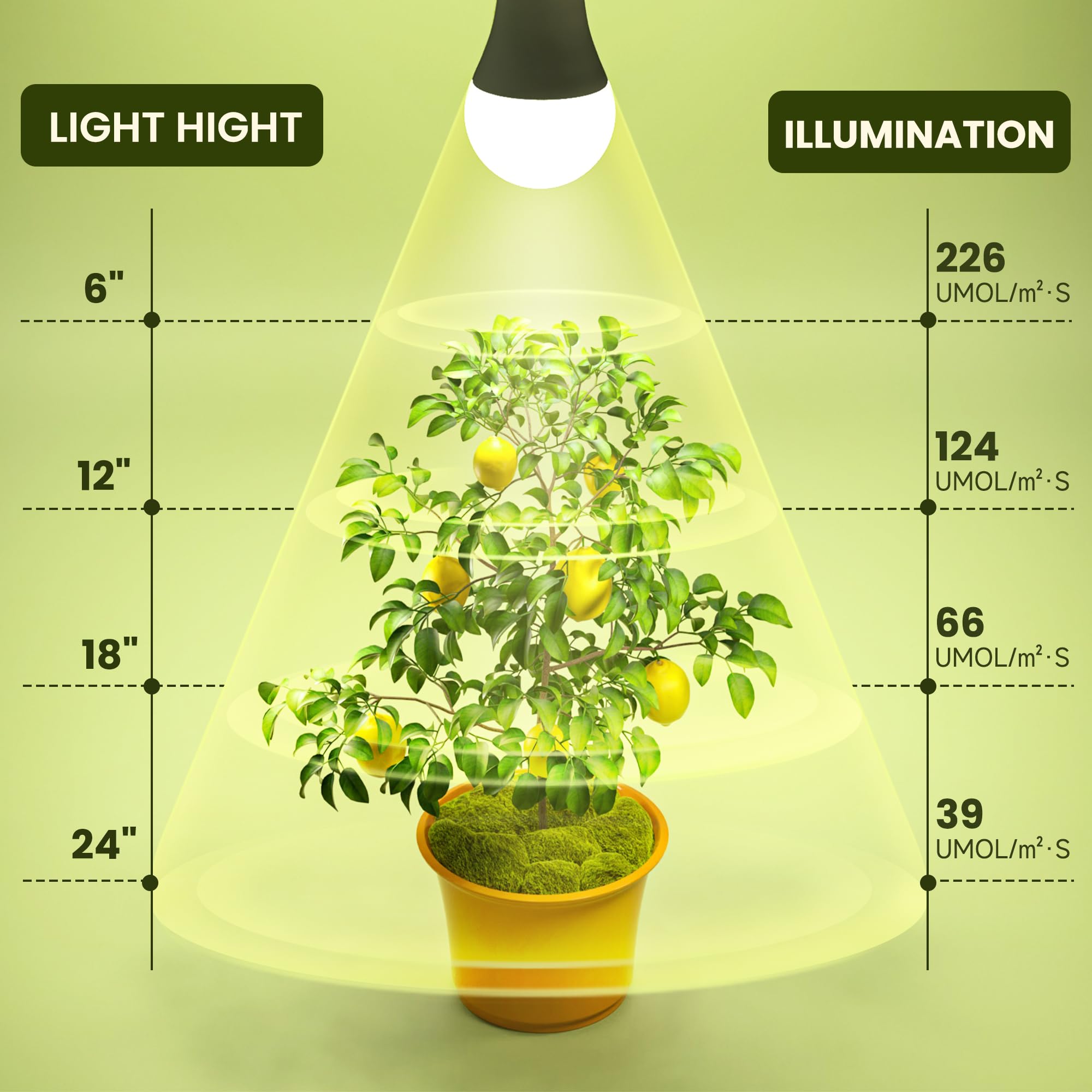 Grow Light Bulbs, LED Grow Light Bulbs A19, Full Spectrum Plant Light Bulbs, 100W Equivalent Grow Bulb, E26 Base, 9W Grow Lights for Indoor Plants, Flowers, Seed Starting, Greenhouse, 4000K, 2-Packs