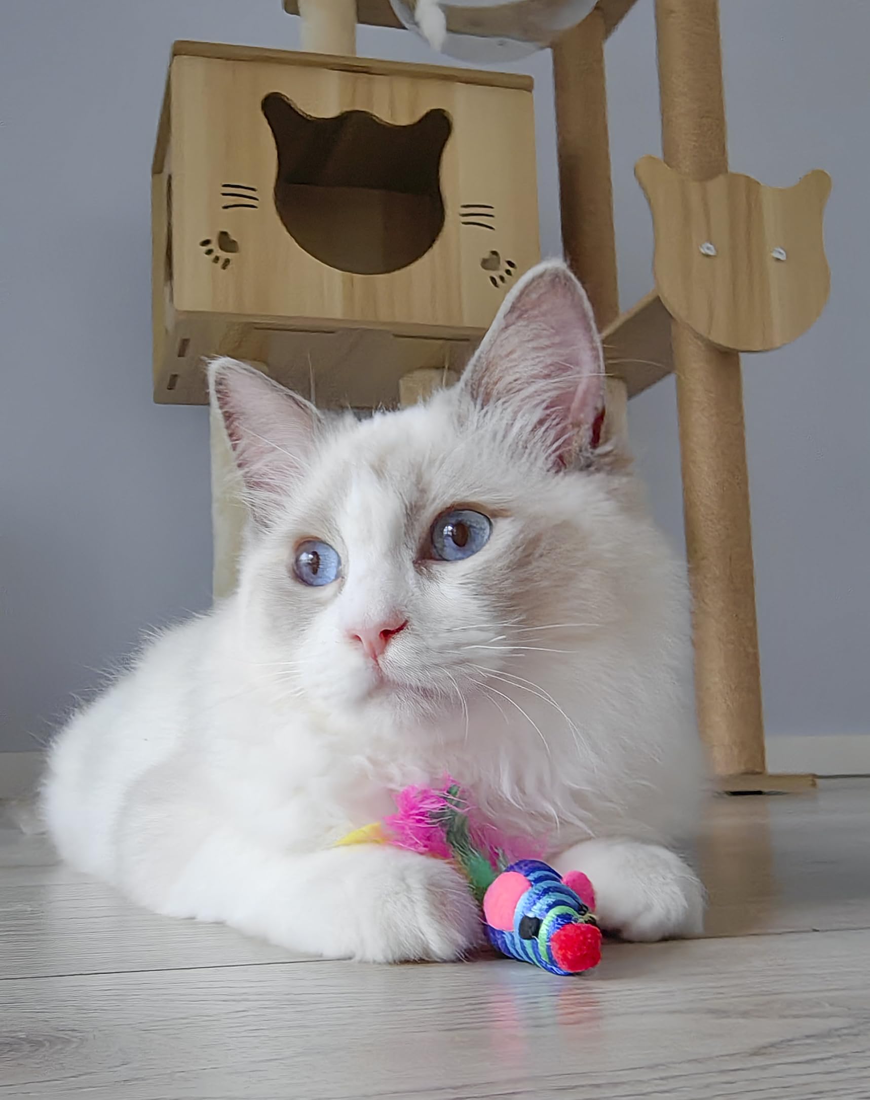 Fashion's Talk Cat Toy Mouse 36-Count 4.5β,Kitten Mice Cat Toys with Rattle Handmade Rope Mouse Toy for Indoor Cats Interactive Play Color Varies