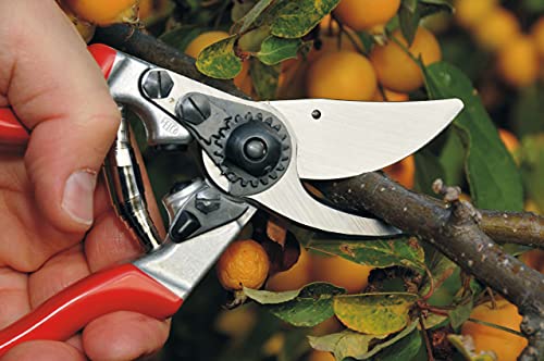 Felco Pruning Shears (F 9) - High Performance Swiss Made One-Hand Left-Handed Garden Pruners