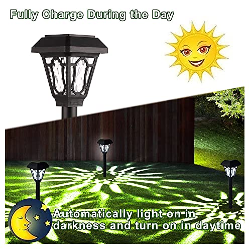 LAMTREE 12 Pack Solar Lights Outdoor Waterproof, 3 Lumens Cool White Led with Cute Pattern, for Pathway,Path, Patio, Yard, Driveway, Walkway, Lawn and Garden