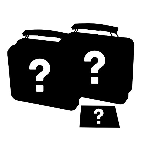 FanWraps Bethesda: Mystery Mini Series 1 (One Random Tote) Fallout Skyrim & Others Tin Luncbox, Multi