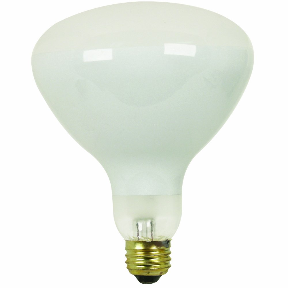 Feit Electric 300 Watt Soft White R40 Dimmable Incandescent Pool and Spa Flood Light Bulb (300R/FL-130)
