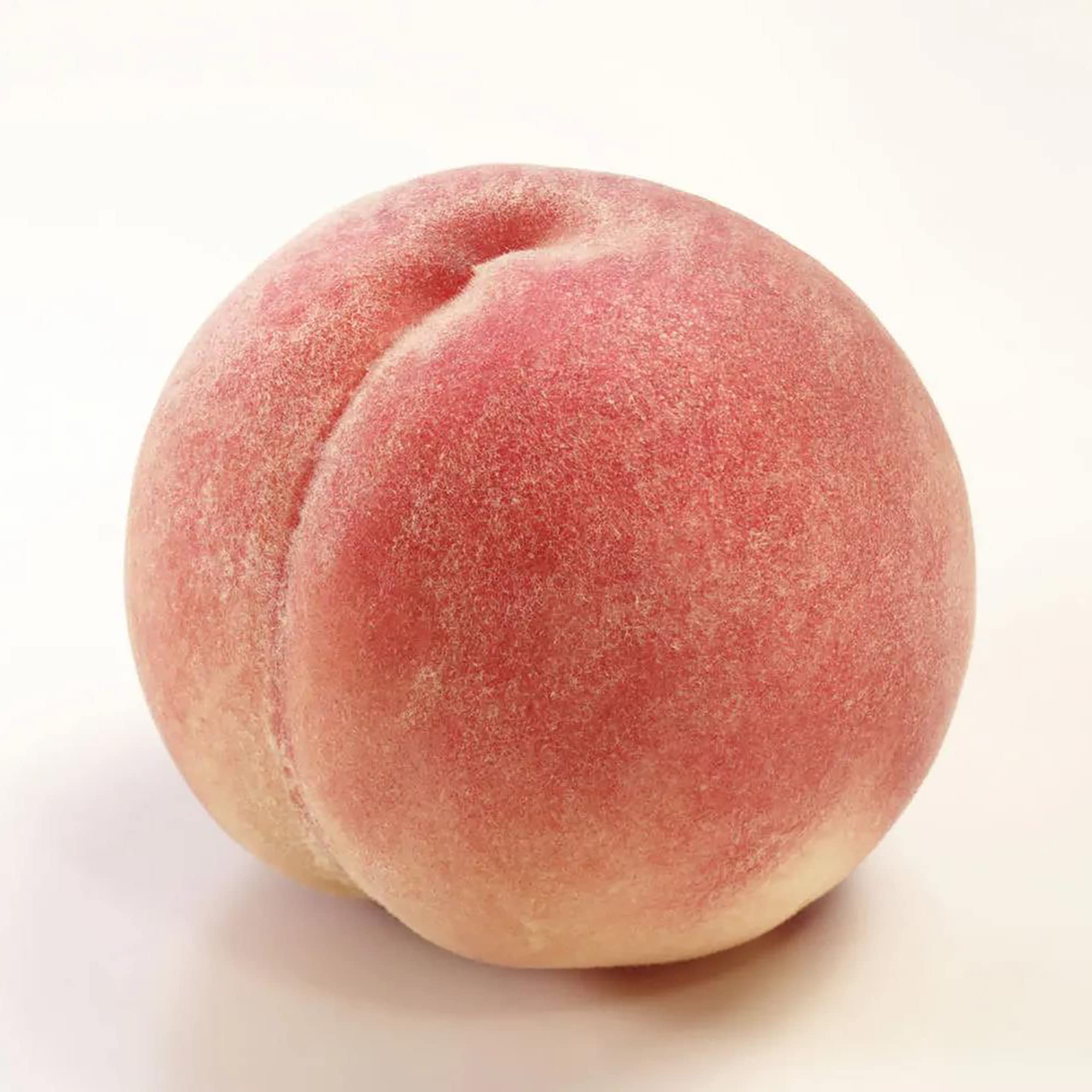 Dwarf Peach Tree Seeds GMO Free Organic Compact Size Popular Choices for Small Gardens, Patios, Balconies, and Even Indoor Cultivation Easier Maintenance 10Pcs Fruit Seeds by YEGAOL Garden