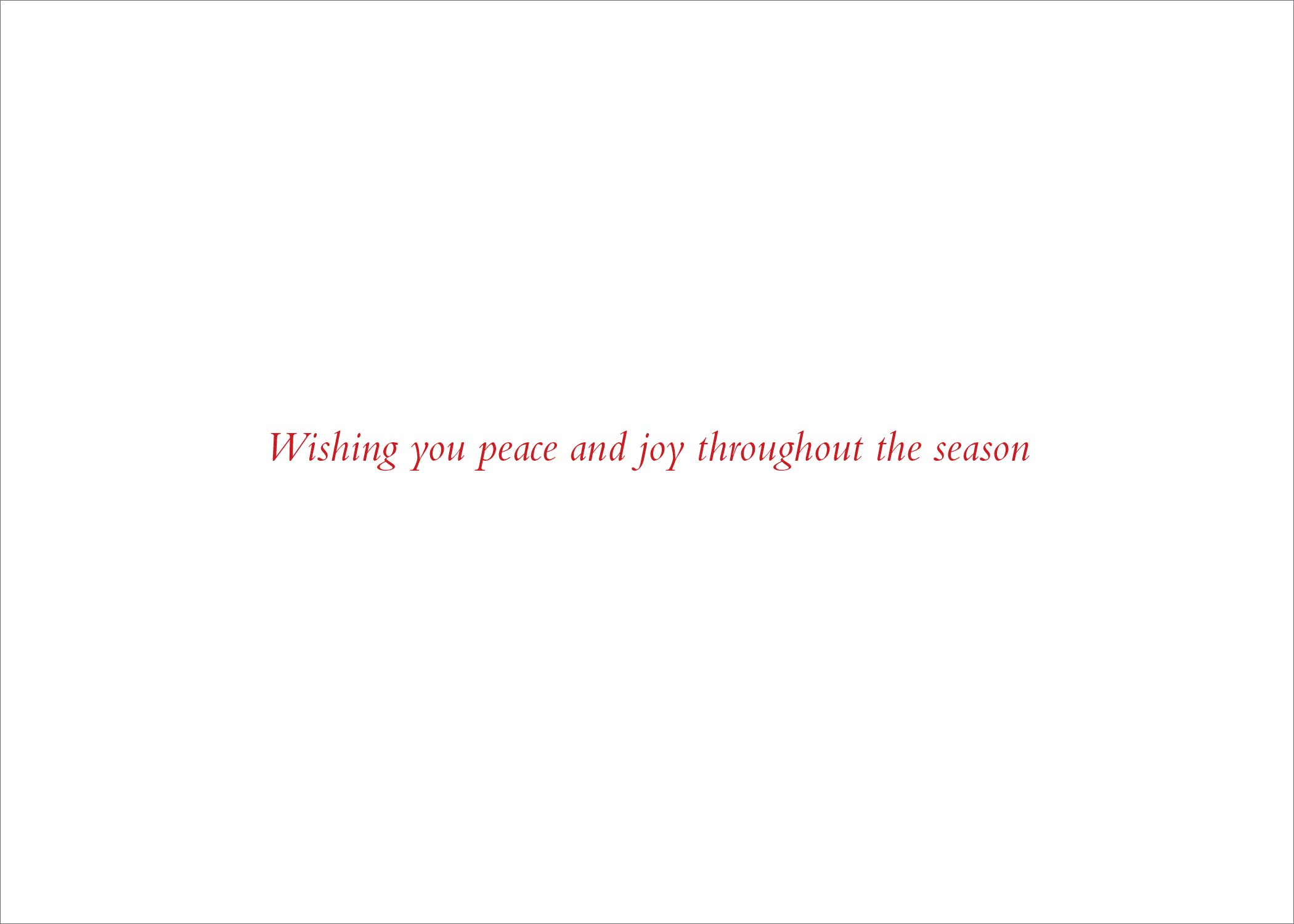 Festive Village Deluxe Boxed Holiday Cards (Christmas Cards, Greeting Cards)