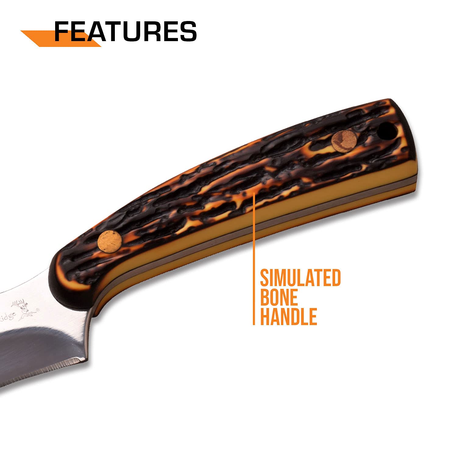 Elk Ridge - Outdoors Fixed Blade Knife - 7-in Overall, 3-in Black Stainless Steel Blade, Simulated Bone Handle, Nylon Sheath - hunting, Camping, Survival - ER-299I