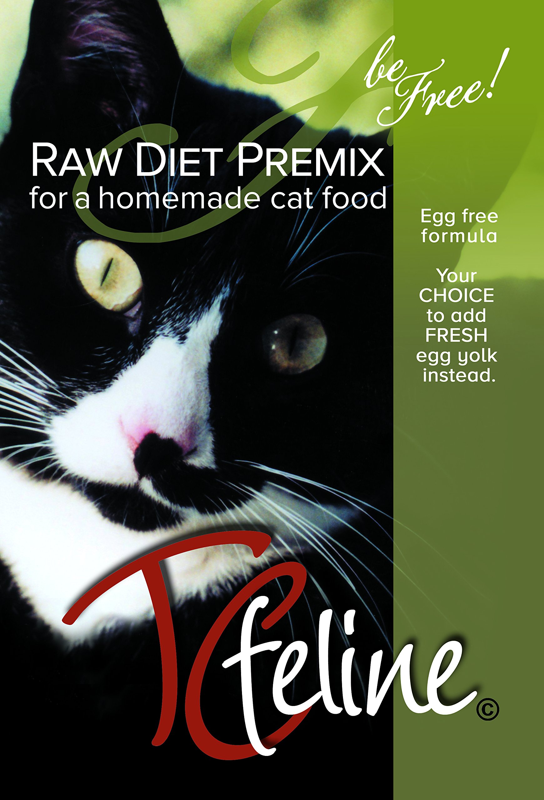 TCfeline RAW Cat Food Premix/Supplement to Make a Homemade, All Natural, Grain Free, Holistic Diet – Original Version with No Liver Egg Free Formula (Regular 14 oz)