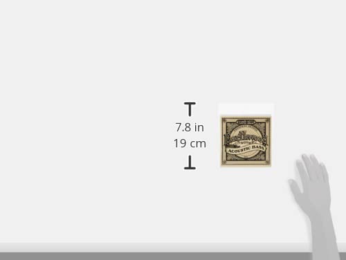 Ernie Ball Earthwood Slinky Phosphor Bronze Acoustic Bass Guitar Strings, 45-95 Gauge (P02070)