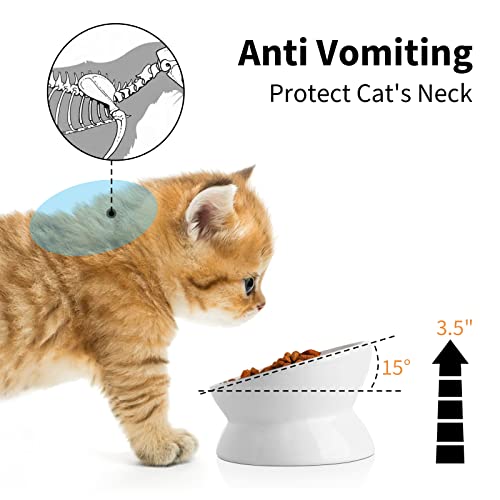Nucookery Ceramic Cat Food Bowl Elevated,Raised Tilted Bowl Protect Pets' spines and Neck, Anti Vomiting Cat Bowl, Small Dog cat Kitten Supplies (5β, Pure White)