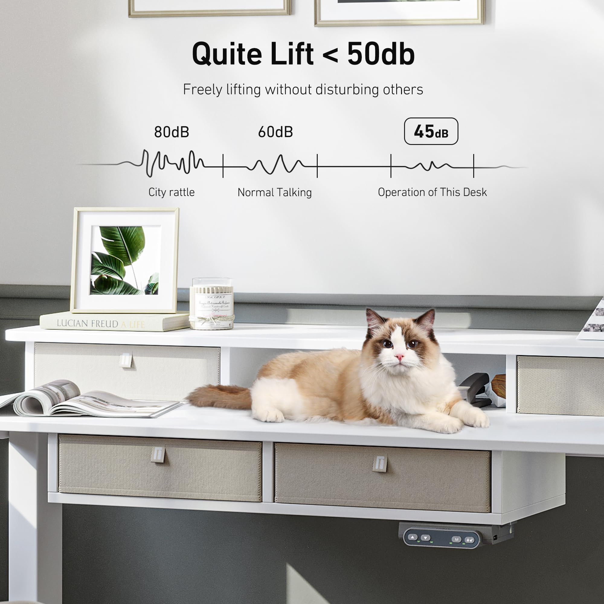 FEZIBO Sturdy Height Adjustable Electric Standing Desk with Drawers, 48 x 24 Inch Stand Up Table with Large Storage Shelf, Sit Stand Desk, White Top