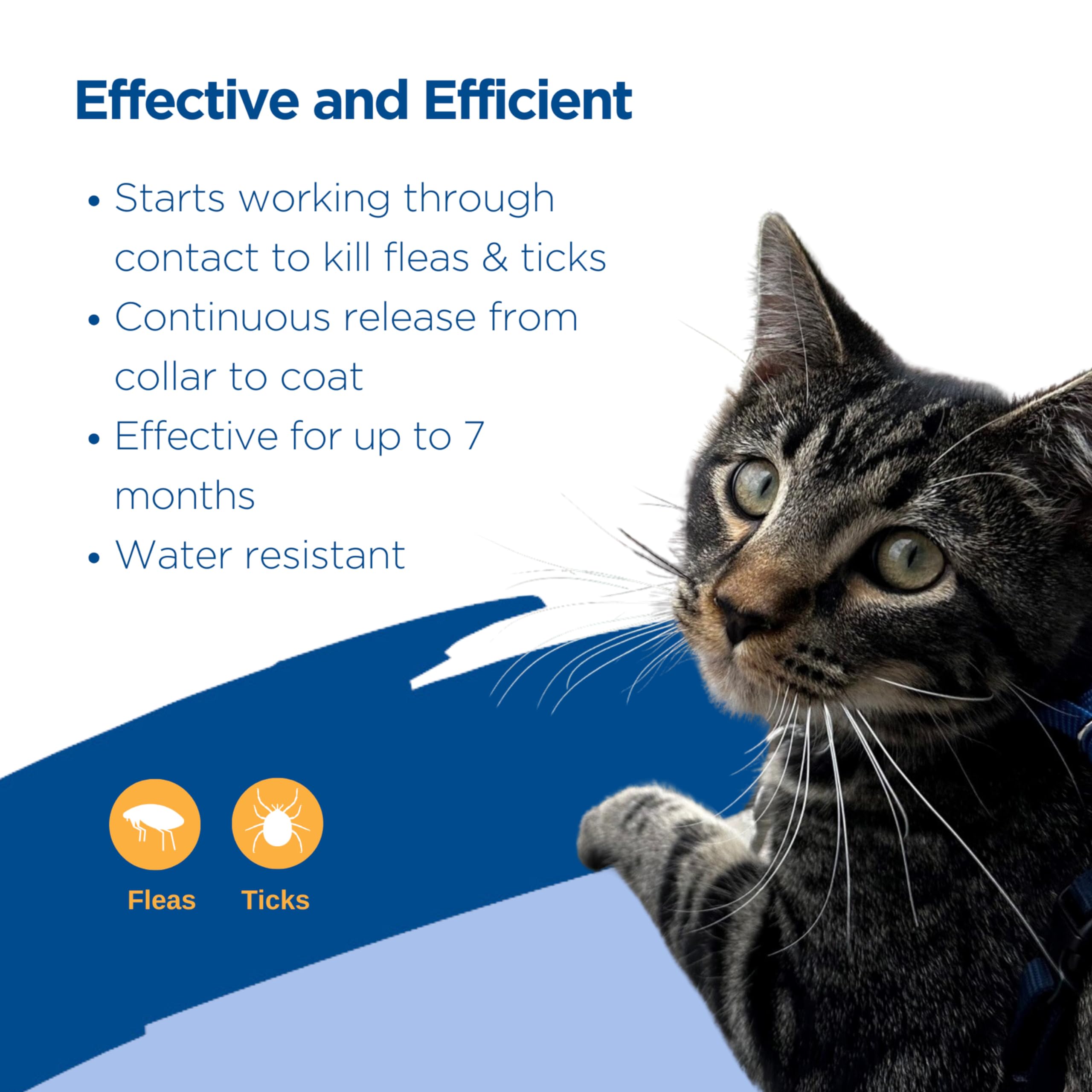 Zodiac Breakaway Flea and Tick Collar for Cats, 13"