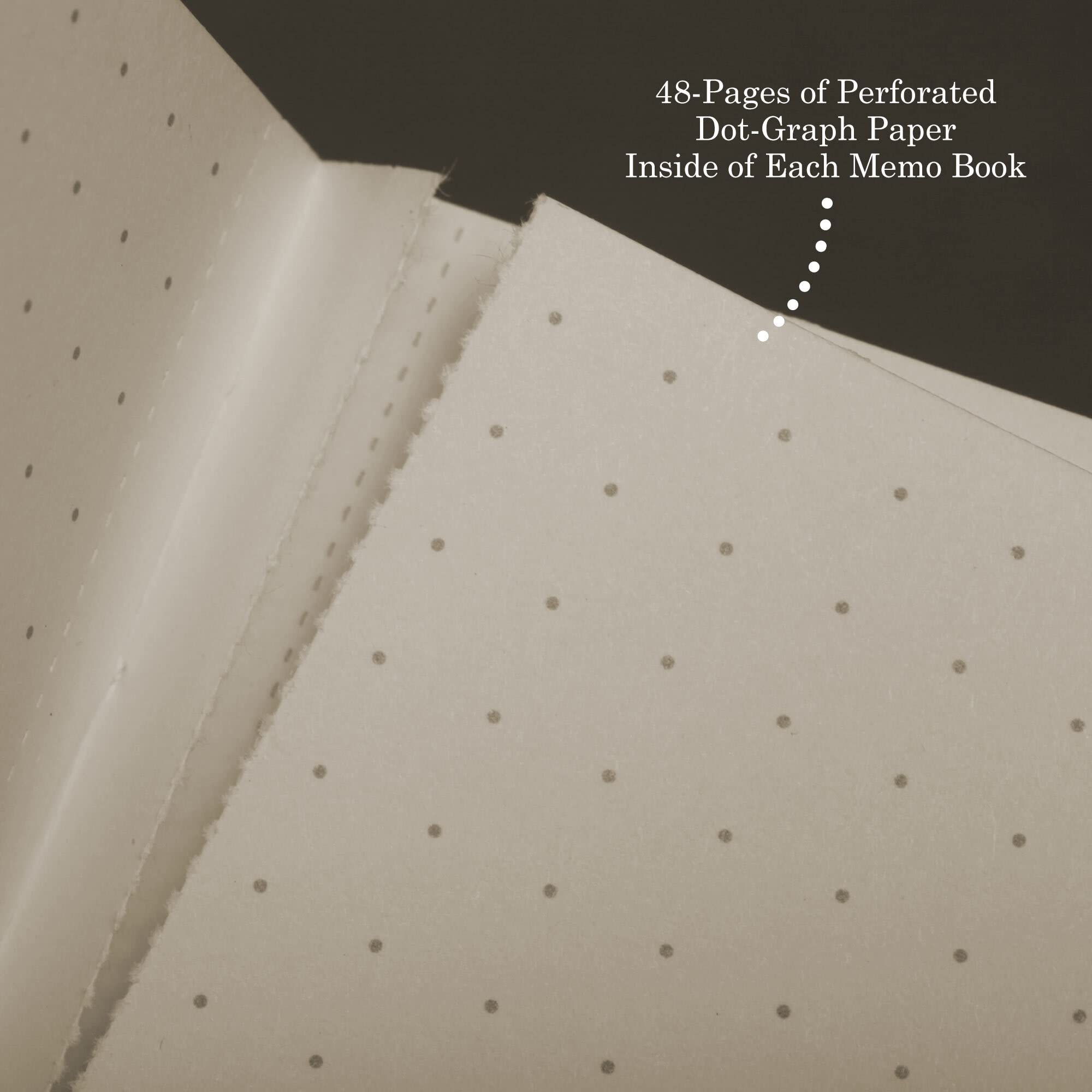 Field Notes: Kraft Plus Edition Aqua Blue 2-Pack - Perforated Dot-Graph Paper Memo Book - 3.5 x 5.5 Inch
