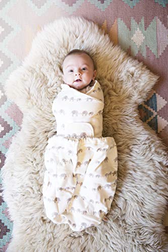 Ergobaby Swaddler Fly Me Away Baby Sleeping Bag, Swaddle Wrap with Hip Positioner and Arm Pouches, 100% Cotton