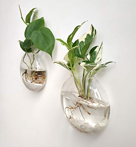 Mkono Wall Hanging Planter Propagation Station Glass Flower Vase for Hydroponics Plants, Bathroom, Home Office Living Room Decor Gift, Oblate Set of 4