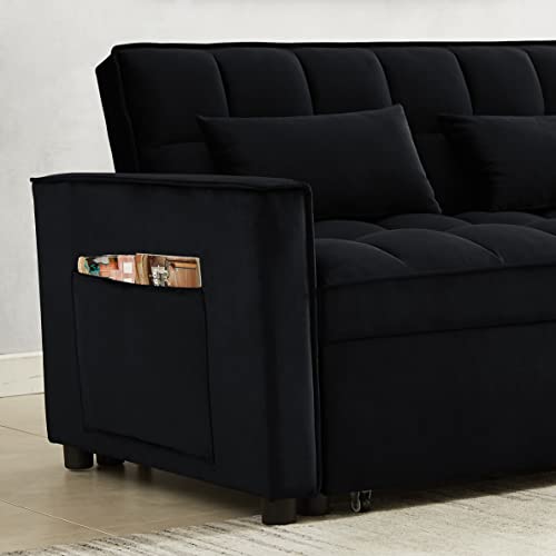 ERYE Black Velvet 2 Pillows