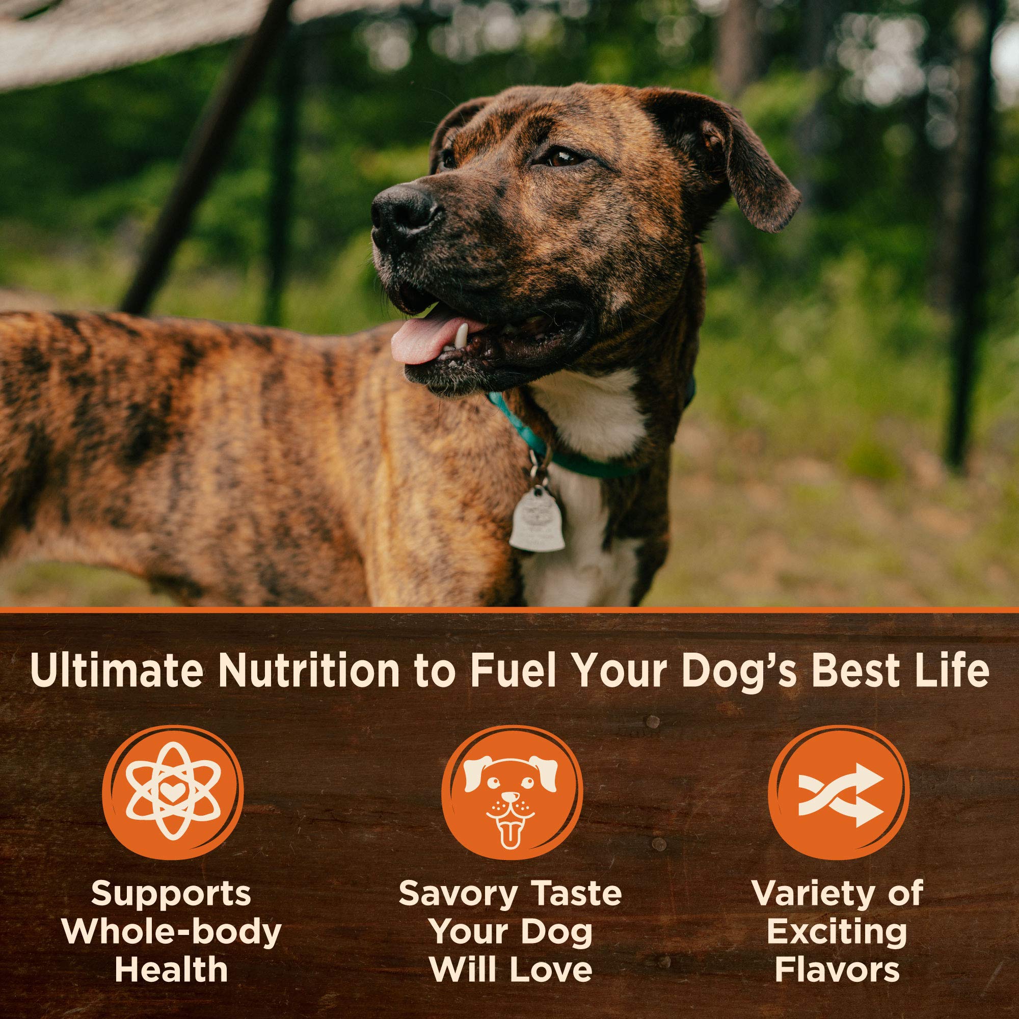 Wellness CORE Hearty Cuts Natural Wet Grain Free Canned Dog Food, Chicken & Turkey, 12.5-Ounce Can (Pack of 12)