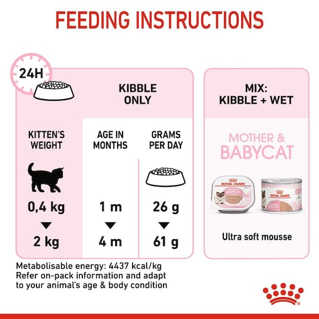 Feline Hn Mother&babycat34 400