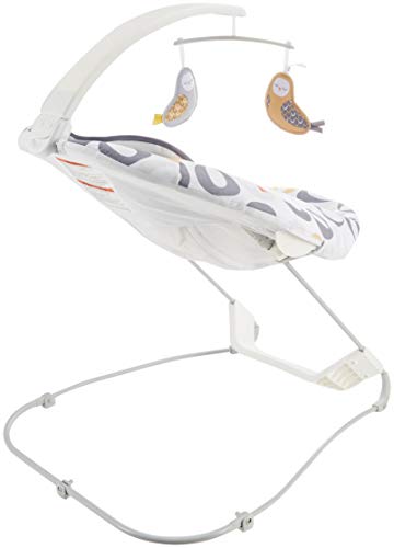 Fisher-Price See & Soothe Deluxe Bouncer