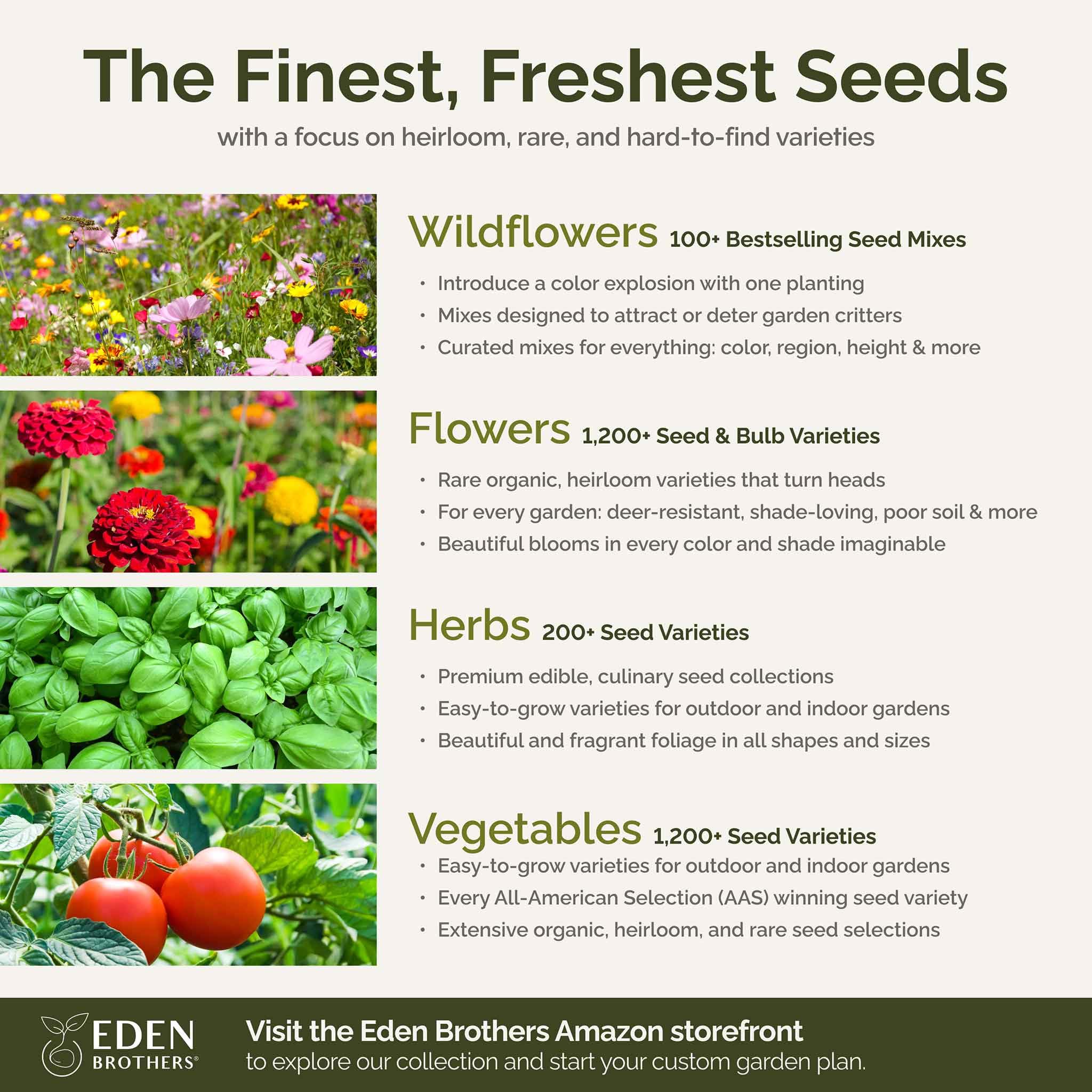 Eden Brothers Pretty in Pink Wildflower Mixed Seeds for Planting, 1/4 lb, 120,000+ Seeds with Candytuft, Rose Mallow | Attracts Pollinators, Plant in Spring or Fall, Zones 3, 4, 5, 6, 7, 8, 9, 10