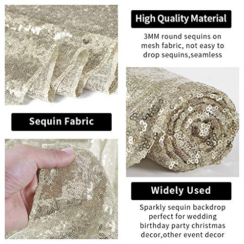 Hahuho Champagne Sequin Backdrop Curtain, 4PCS 2FTx8FT Glitter Backdrop Curtain for Parties, Christmas, Wedding, Party Decoration(4 Panels, 2FT x 8FT, Champagne