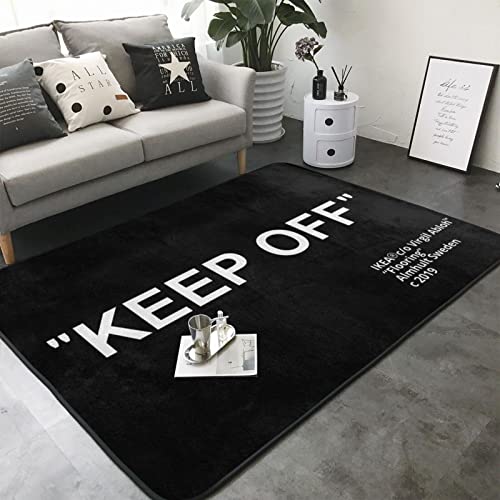 YIKUDU Keep Off Large Rugs Floor Mat Modern Carpet for Home Decoration Area Rug,Cozy Art Decoration Polyester Carpet 60 x 40 inch