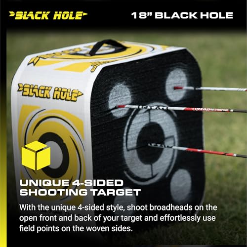 Field Logic Black Hole Archery Target 18"