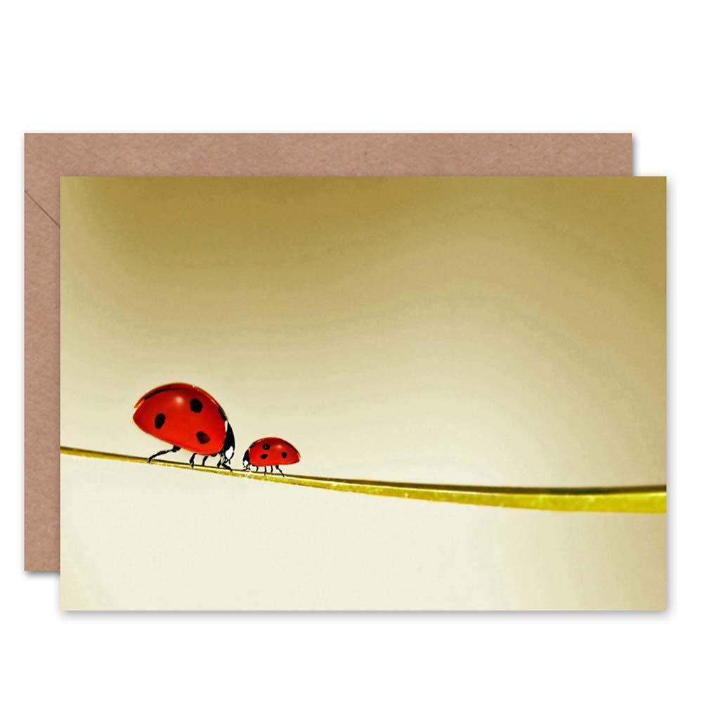 Wee Blue Coo CARD GREETING BIRTHDAY LADYBIRDS LADYBUGS GIFT