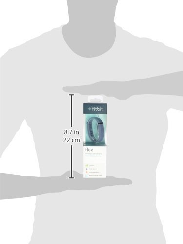 Fitbit Flex