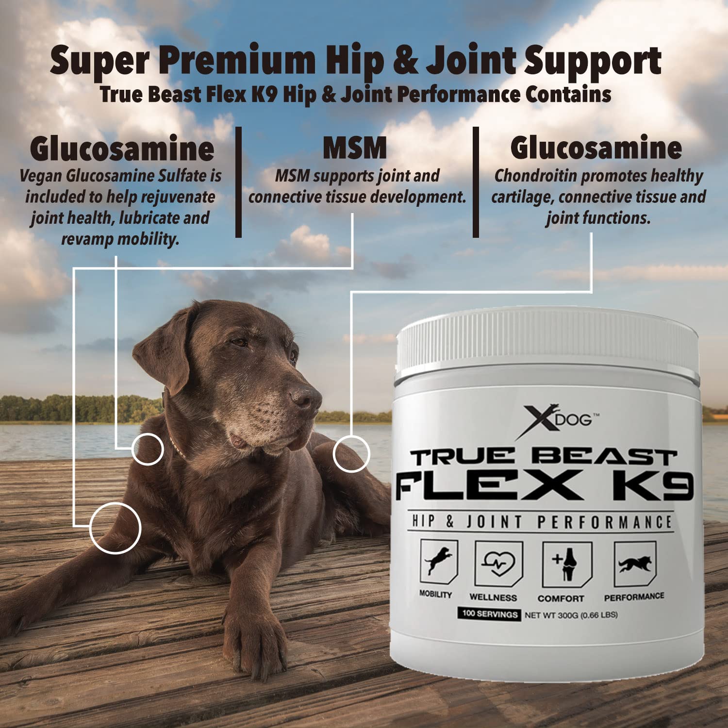 True Beast Flex K9 Hip, Joint, Muscle Builder & Performance Supplement for Dogs (Veterinarian Formulated) Glucosamine, MSM, Chondroitin, Creatine, DMG, Organic Turmeric, Vitamin C, Manganese.