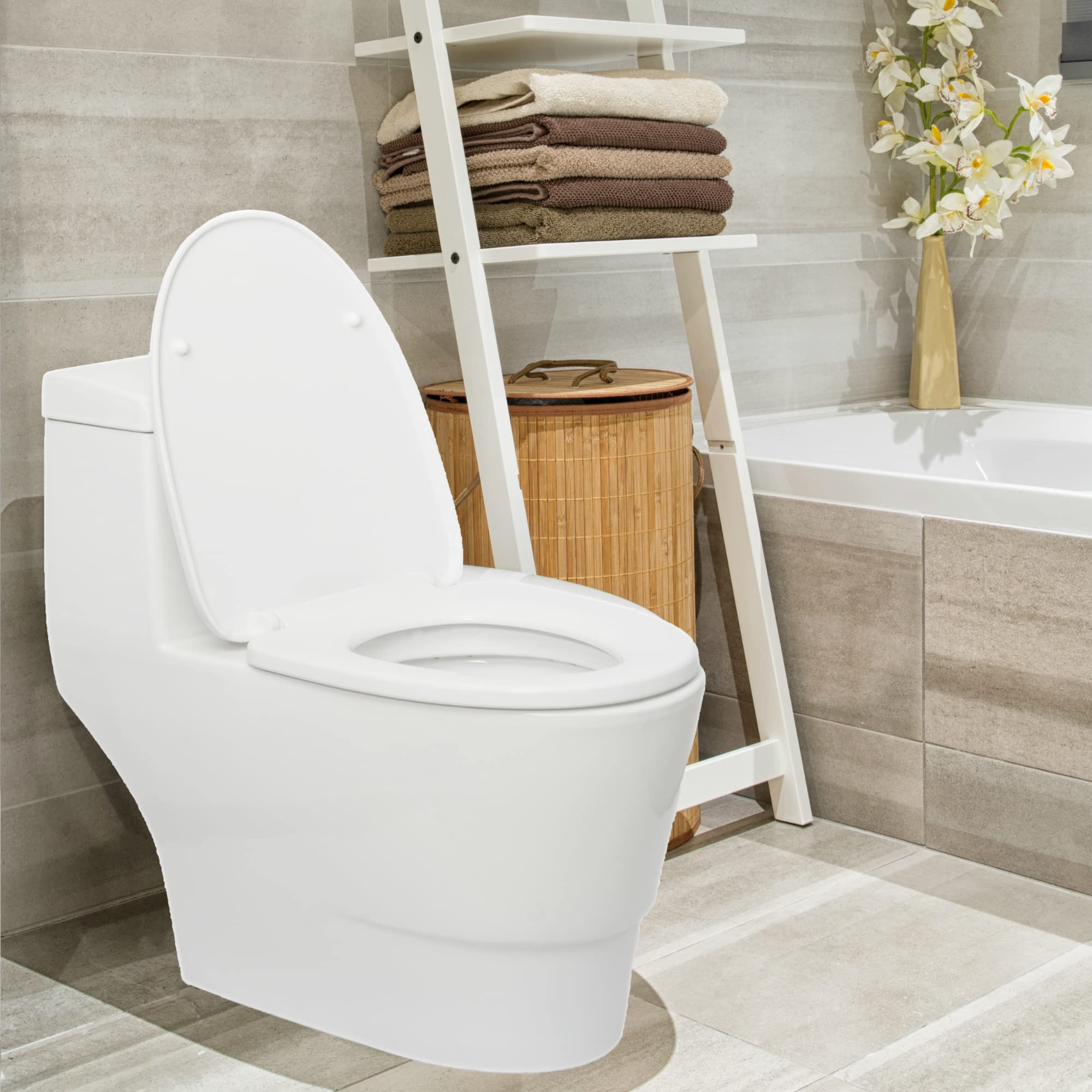 Fine Fixtures Dual-Flush Elongated One-Piece Toilet with High Efficiency Flush