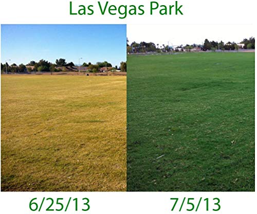 Premium Nutrient Rich Lawn Top Dressing Turf Expanding Coco Coir Mix β 10 LB Covers up to 400 sq. ft. β Grow Thicker Greener Grass in Drought Heat Conditions β Save Water, Seed, & Fertilizer