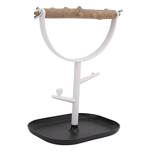 Parrots Stand, Portable Desktop Bird Playstand Parrots Training Stand for Parakeets Cockatiels Lovebirds Bird Training Stand Table Top Bird Perch Bird Playground Bird Stand Parrot Perch Stand