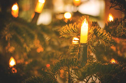 Flagicon Outdoor Indoor Lights, 200 Counts 72FT Waterproof Green Wire Warm White Connectable Decorative Lights for Holiday Tree Patio Garden Party Wedding, UL Certified