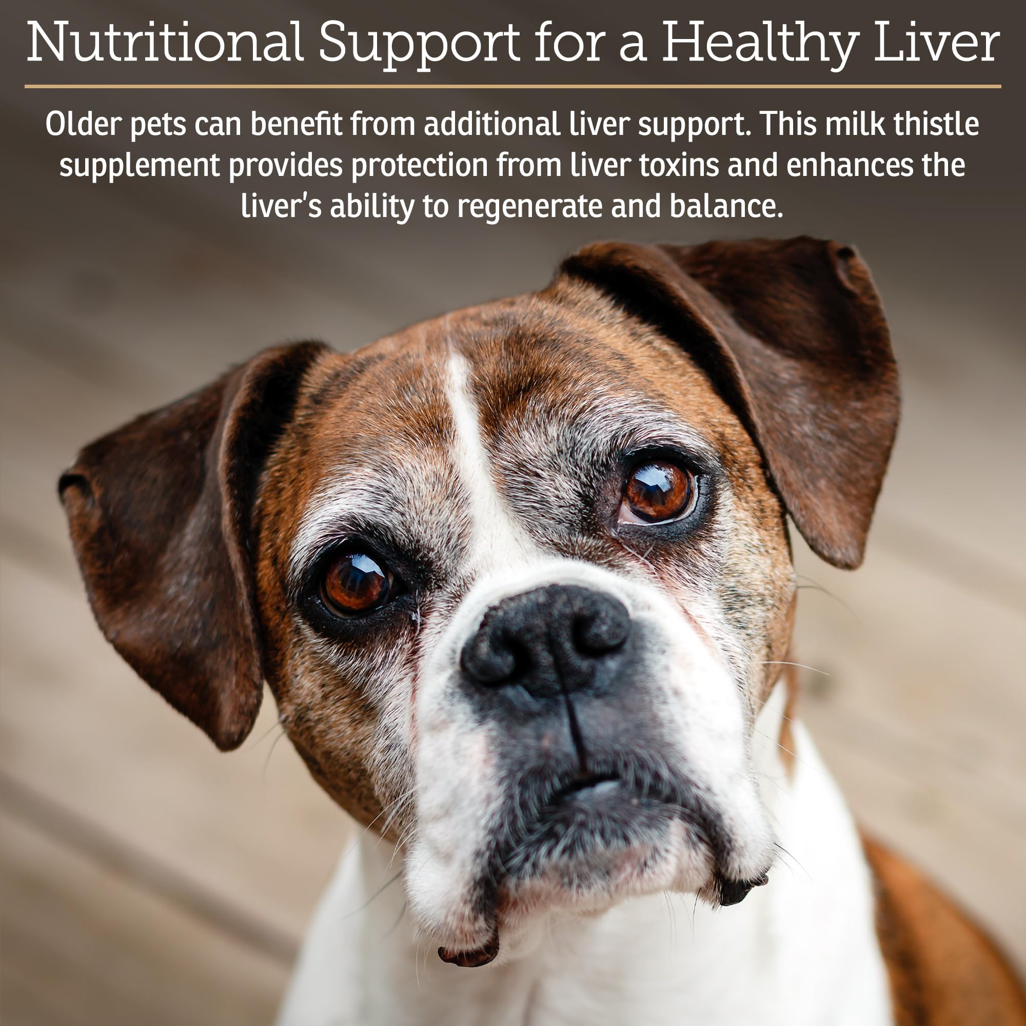 Rx Vitamins Liquid Hepato - Liquid Liver Support Supplement with Milk Thistle Extract - Hepatic Dog Supplement Enriched with Vitamin B Complex - Chicken Flavor (4oz)