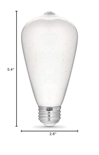 Feit Electric Infinity 3D Fireworks LED Light Bulb, ST19 LED Bulb, ST19/PRISM/LED,1 Count (Pack of 1), Multicolor