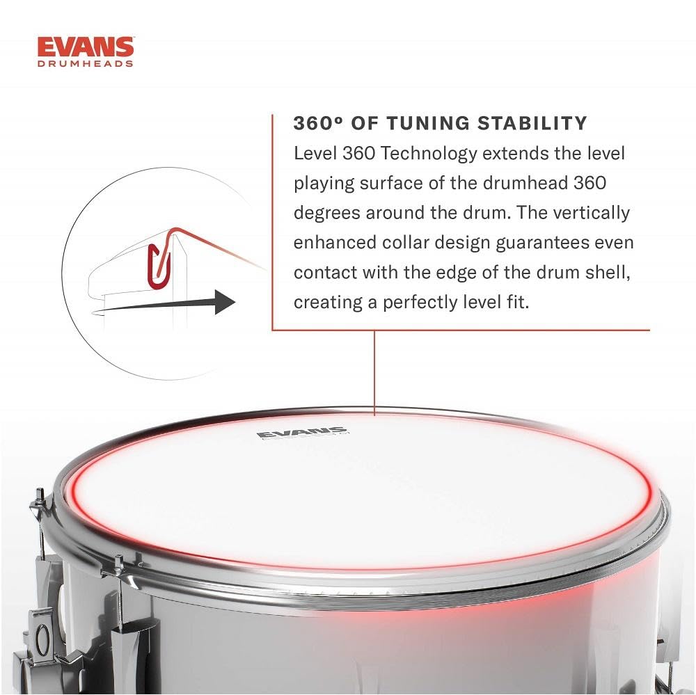 Evans Drum Heads - Calftone Tom Drumhead, 14 Inch