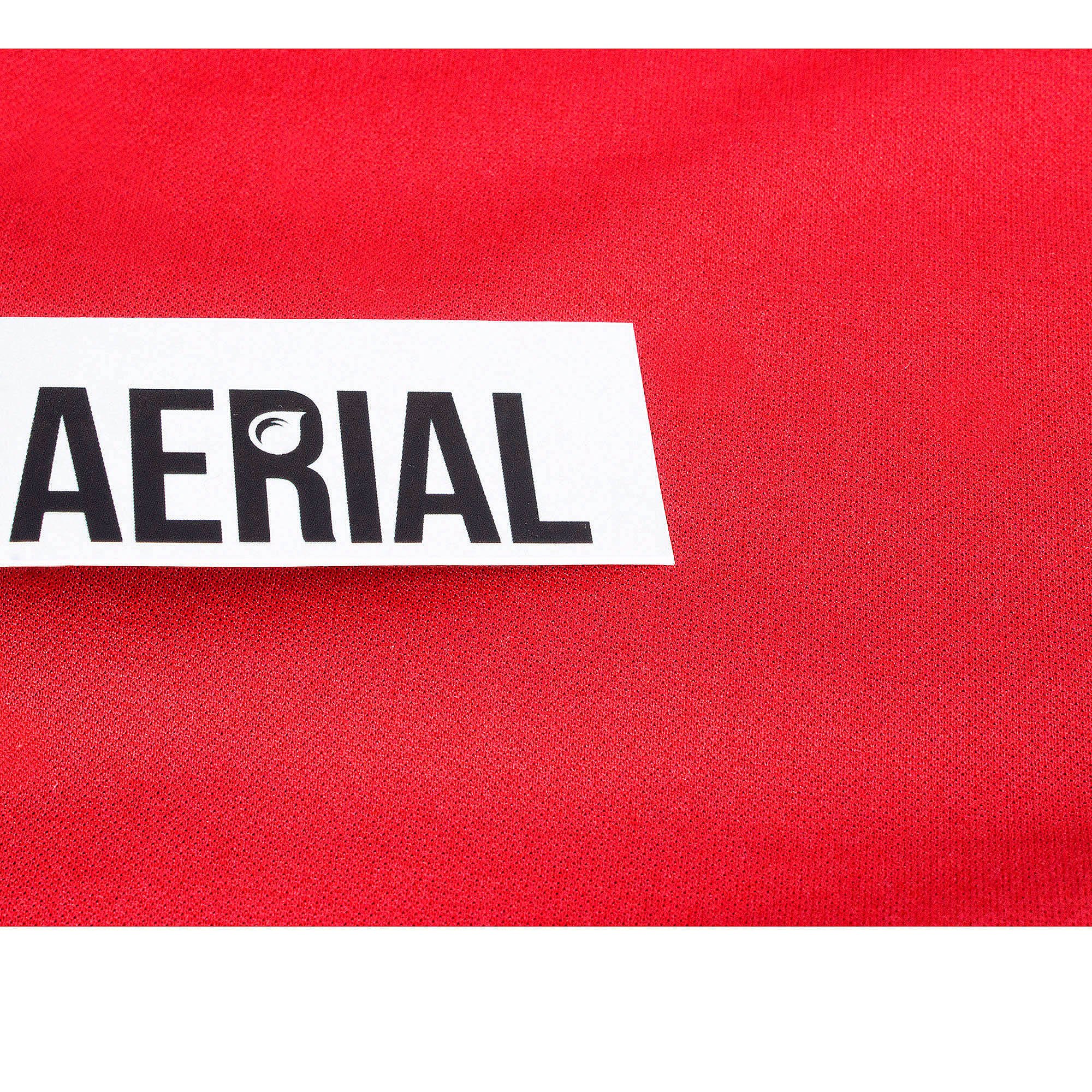 Firetoys Professional Aerial Silks Fabric/Tissues, Medium Stretch Silk WLL 128kg (Red, 12 Metre)