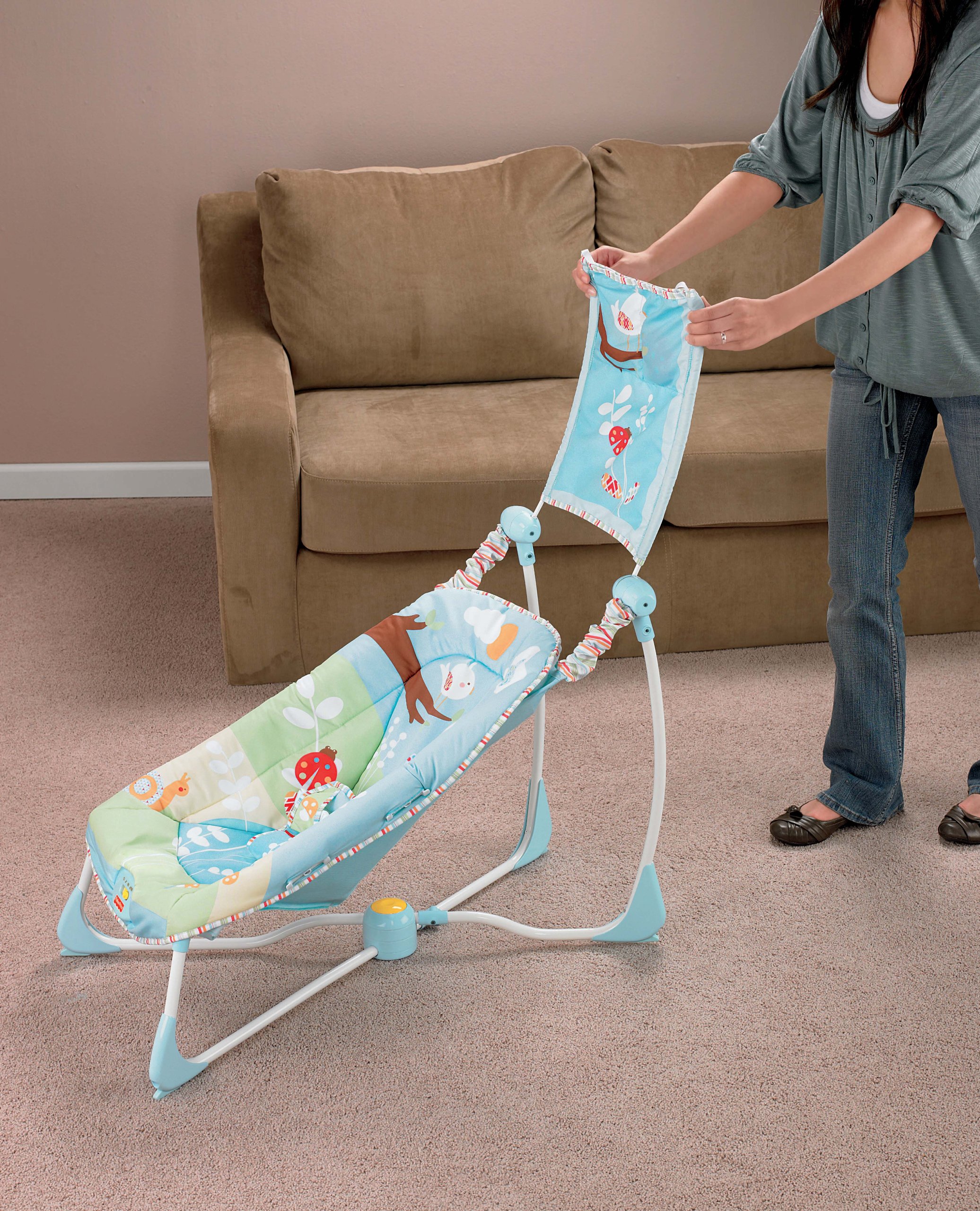 Fisher-Price Soothe & Go Bouncy Seat