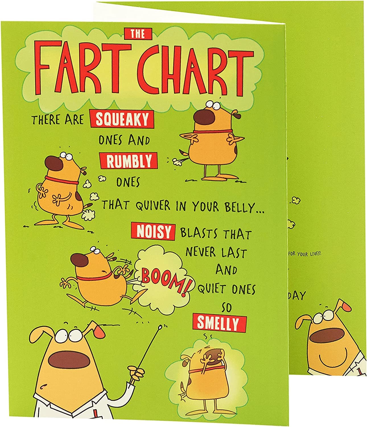UK Greetings Birthday Card for Him/Friend - Funny Fart Design