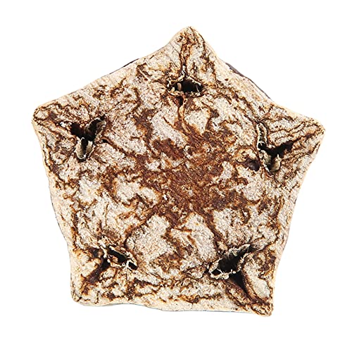 Pssopp Bird Chewing Blocks Toy,Decorative Dried Nut Wood Bird Block Toys Decorative Five Pointed Bird Toy for Bird Supplies Hamsters Totoros Rabbits