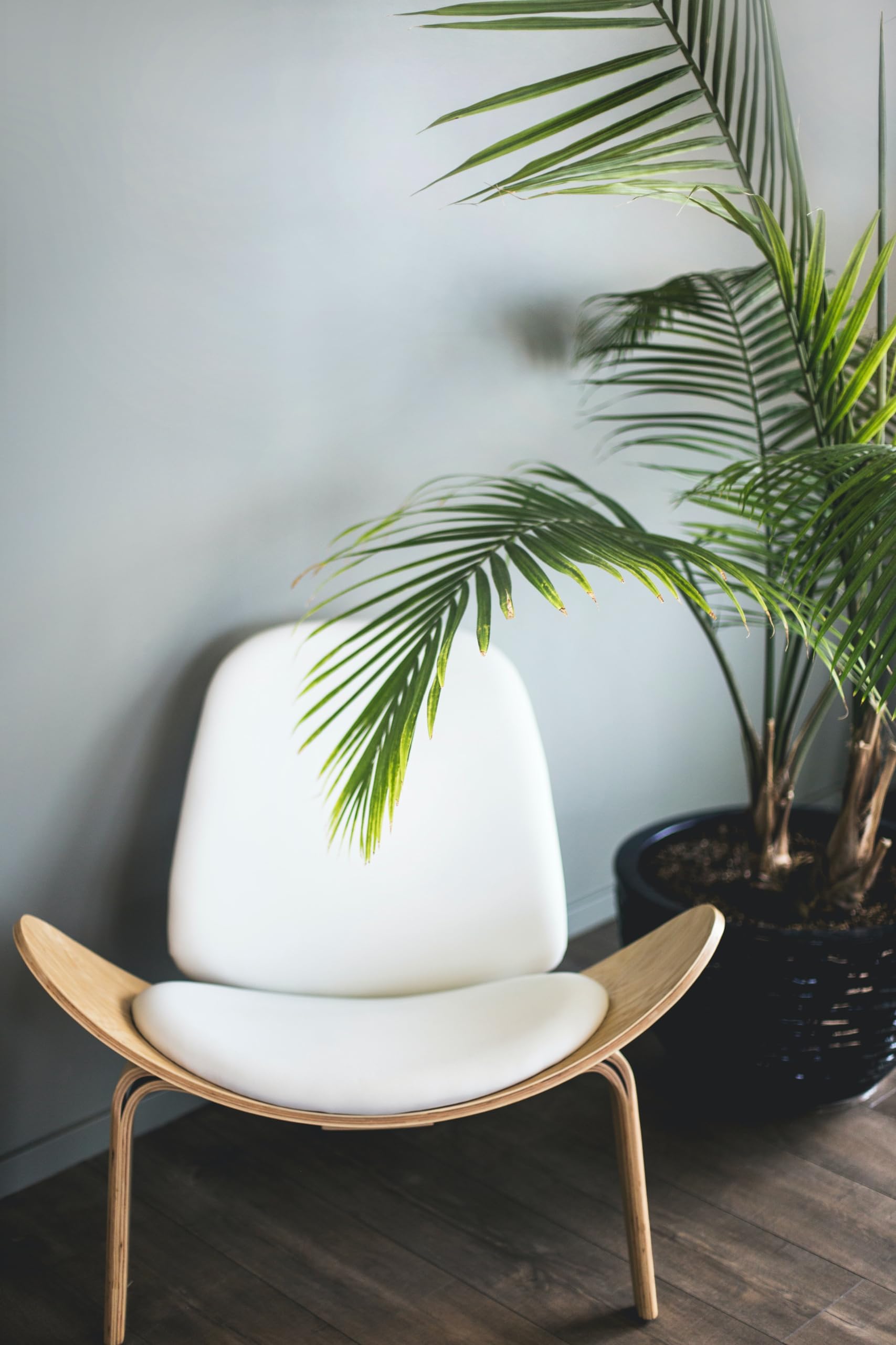 First of a Kind Lounge Chair for Living & Study Room - Faux Leather Tripod Plywood Solid Wood Shell Chairs - Modern Classic Mid Century Design - White