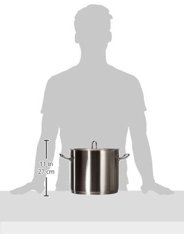 Fissler Original-Profi Collection 2019 Stainless Steel Tall Stock Pot, 9.6 Quart