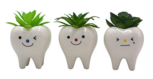 MONMOB Pack of 3 Mini Shaped Tooth Planter Ceramic Succulent Plant Pots Set for Small Succulent Tooth Gifts for Adults Kids Women Dentist